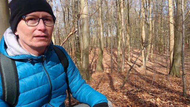 Террасное земледелие, лес Торсков, Марселисборг, Орхус, Дания. 19 мар. 2021