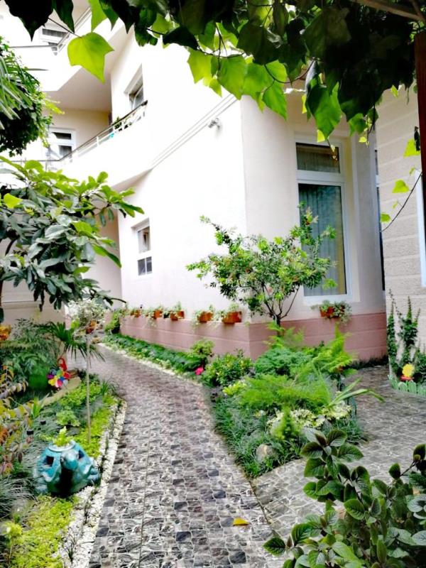 Гостевые дома и отели в Сочи. Отдых в Сочи без посредников.  "Ольга" гостевой дом в Сочи