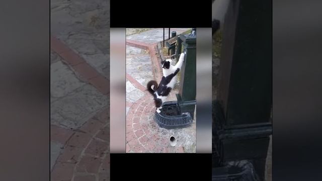 Хочу пить.mp4