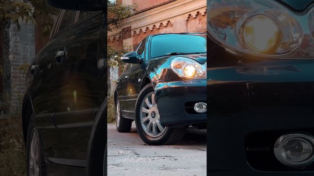 Hyundai Sonata EF — Crocodile