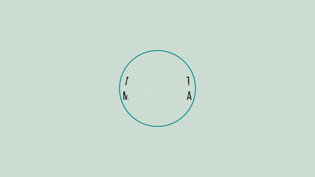 SFA 2017: развитие бизнеса на базе ST Чикаго в отзыве Черкизово