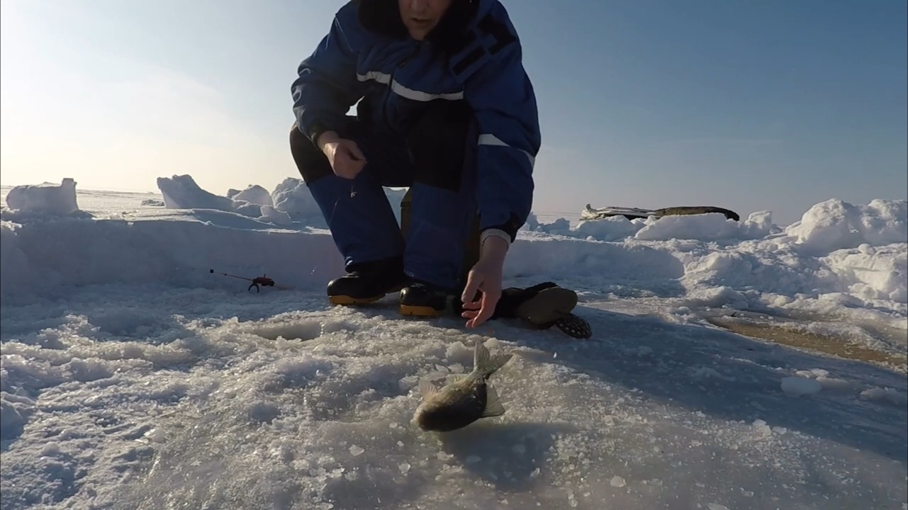 КАРАСЯ ПОЙМАТЬ как В ЛОТЕРЕЮ СЫГРАТЬ! оз УЕЛГИ❗.mp4