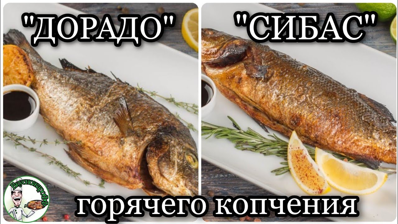 КАК ПРАВИЛЬНО ЗАКОПТИТЬ РЫБУ (ДОРАДО И СИБАС)