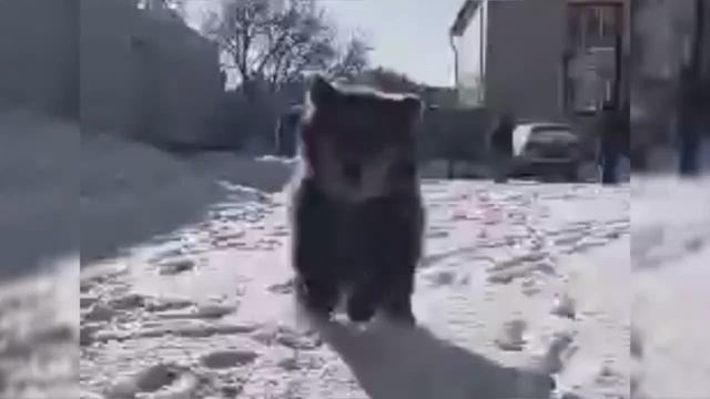 мишку знаешь ? - пасан иво !