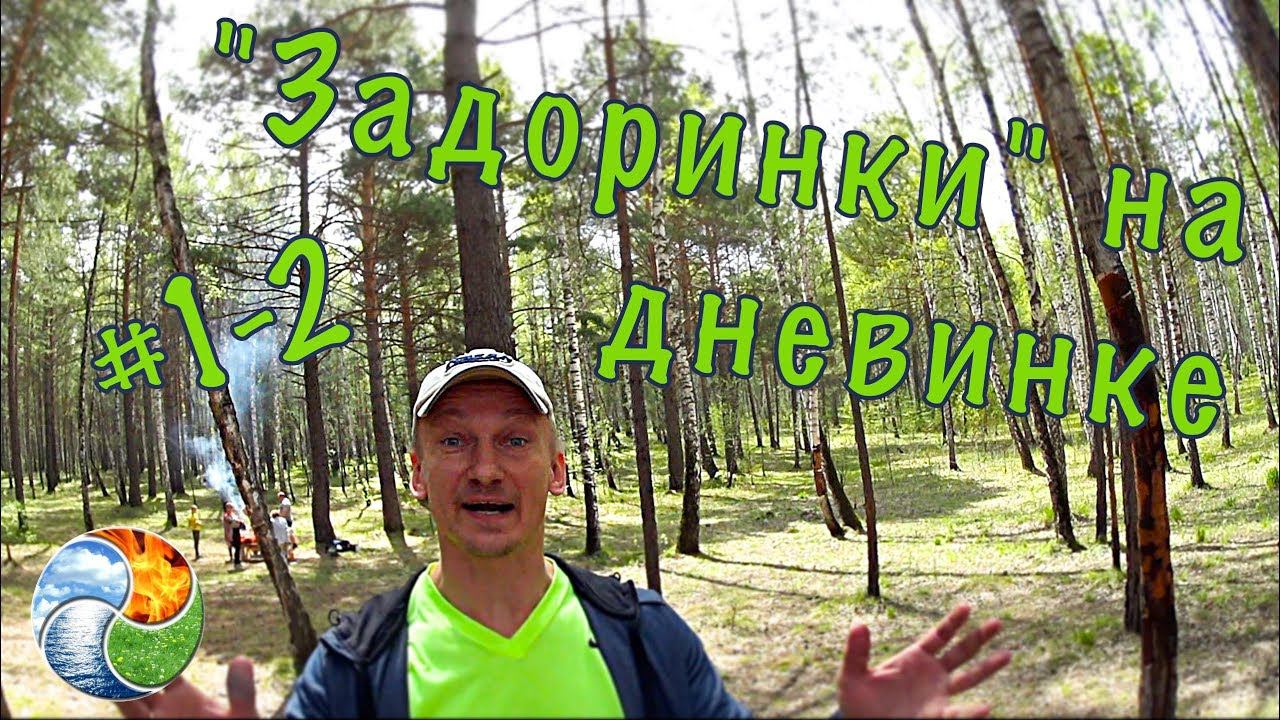 #1-2 "Задоринки" на дневинке