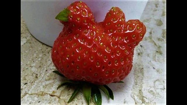 ВЕСЁЛЫЕ ОВОЩИ : ))