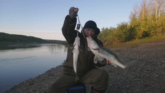 ПЕРВЫЕ СУДАКИ, ОТКРЫЛСЯ ВЕСНА!!