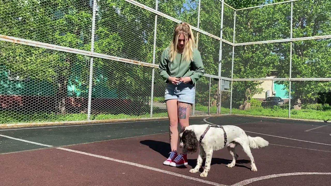 17. Трюки. Бэк