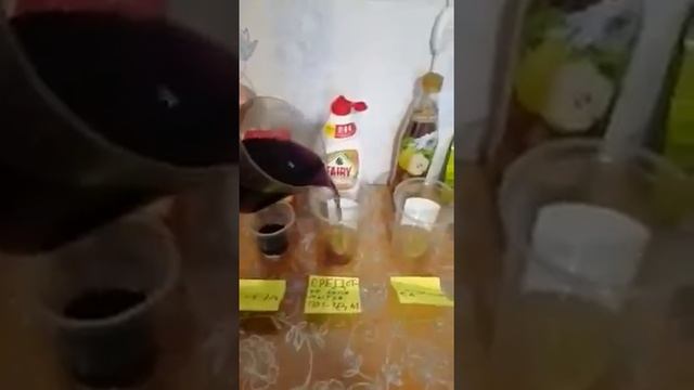 Опыт на тему _Изменение цвета вещества_ семьи Котенковых.mp4