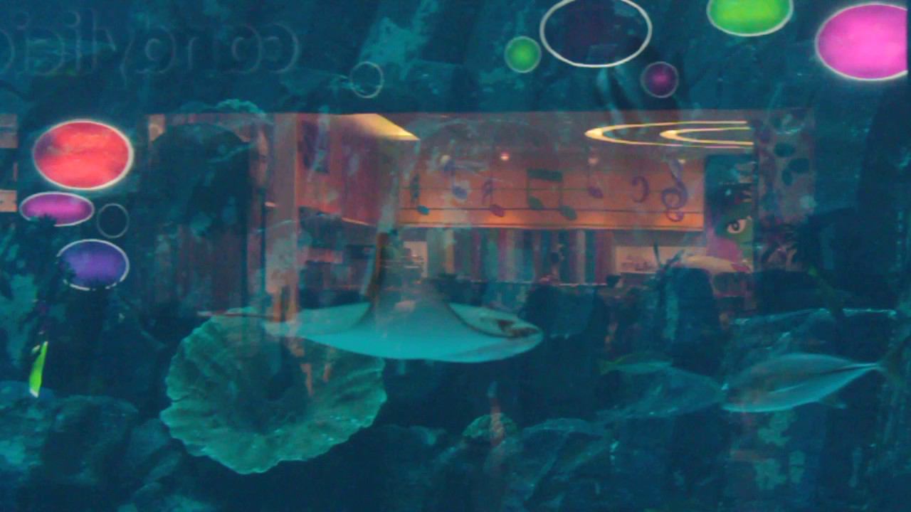 Аквариум - Океанариум в Дубае