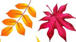 Красные туфли мой закрытый гештальт 3