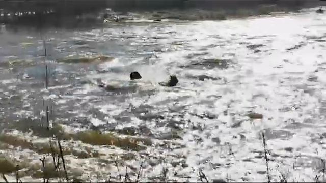 Опасно! Не повторять. Зачет по выживанию.