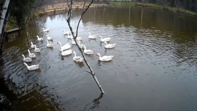 Рыбалка.  Что получилось снять с двух рыбалок) .