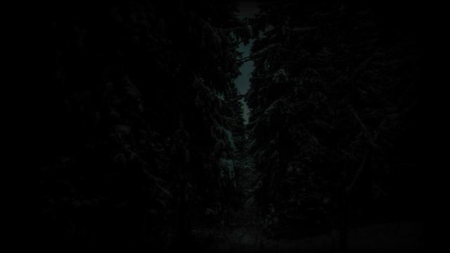 Мистические истории, истории на ночь - Заблудший