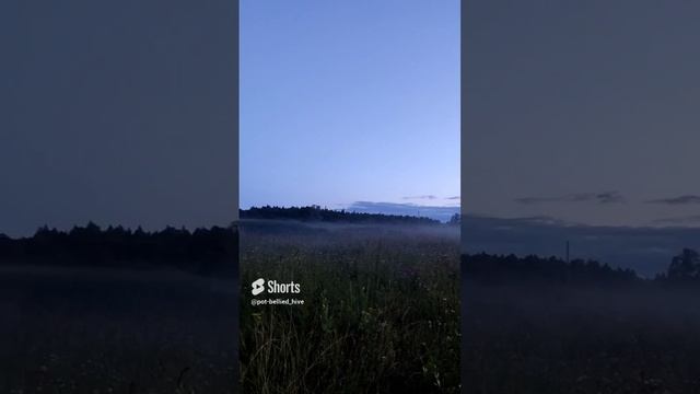 там за горизонтом #There's beyond the horizon #villagelife