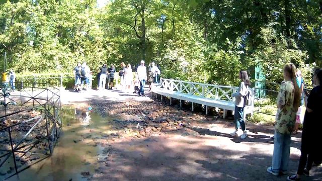 Фонтаны-шутихи в Петергофе