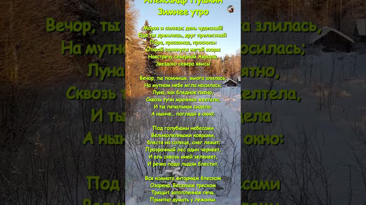 Карелия. Зима 2023 и Александр Пушкин. Мороз и солнце. shorts