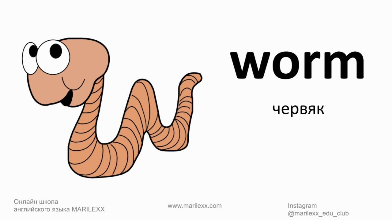 Garden ("Сад") учим слова