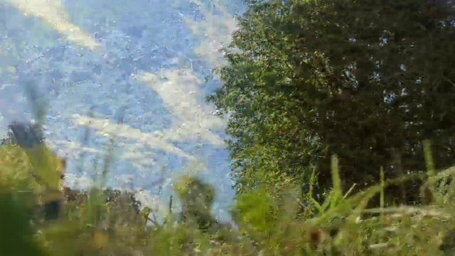 Сенокос от А до Я 😄