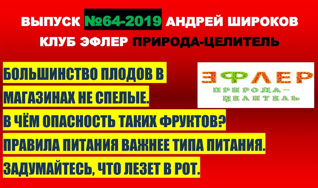 ОШИБКИ СЫРОЕДЕНИЯ. ОПАСНОСТЬ НЕ СПЕЛЫХ ПЛОДОВ. КАК ЕСТЬ ТО, ЧТО ПЕРЕВАРИВАЕТСЯ? ЧТО ЖЕ ЛЕЗЕТ В РОТ?