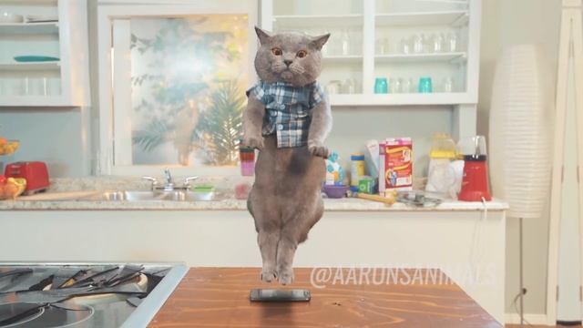 Instagram Creeping Gone Wrong