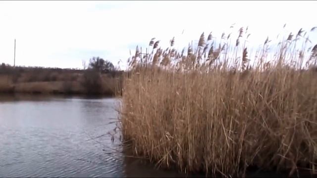 Нижняя Крынка Декабрь 2017.