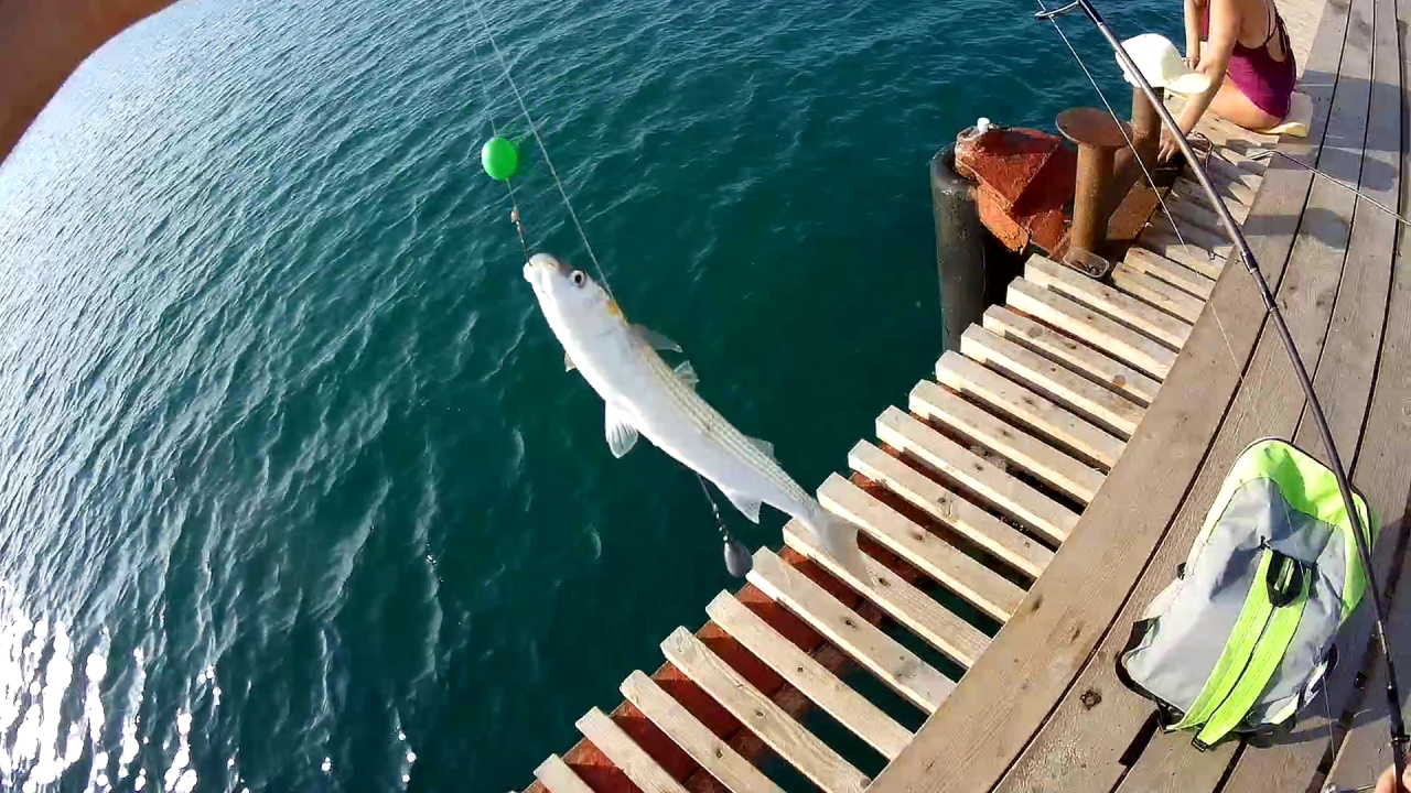 РЫБАЛКА НА МОРЕ.mp4