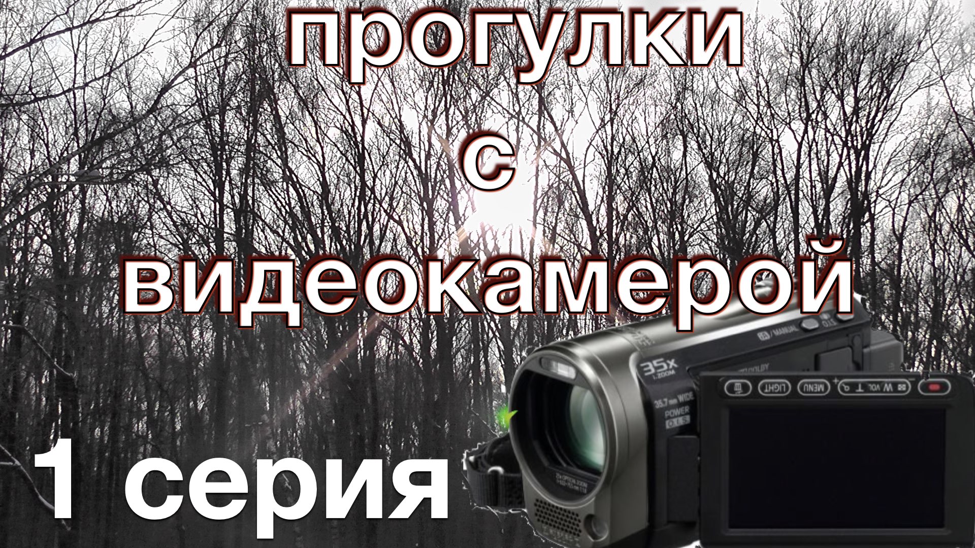 Прогулки с Panasonic HDC-SD60 / 1 серия / Поляна четырёх дубов, воришки коры и зимние утки