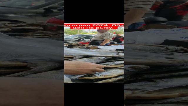 export_31554485410339324.mp4