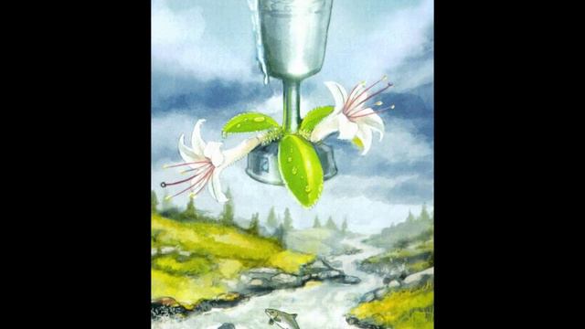 ТУЗЫ в Таро. ✨✨✨ Обстоятельно о всех тузах. 🎁🔥⭐