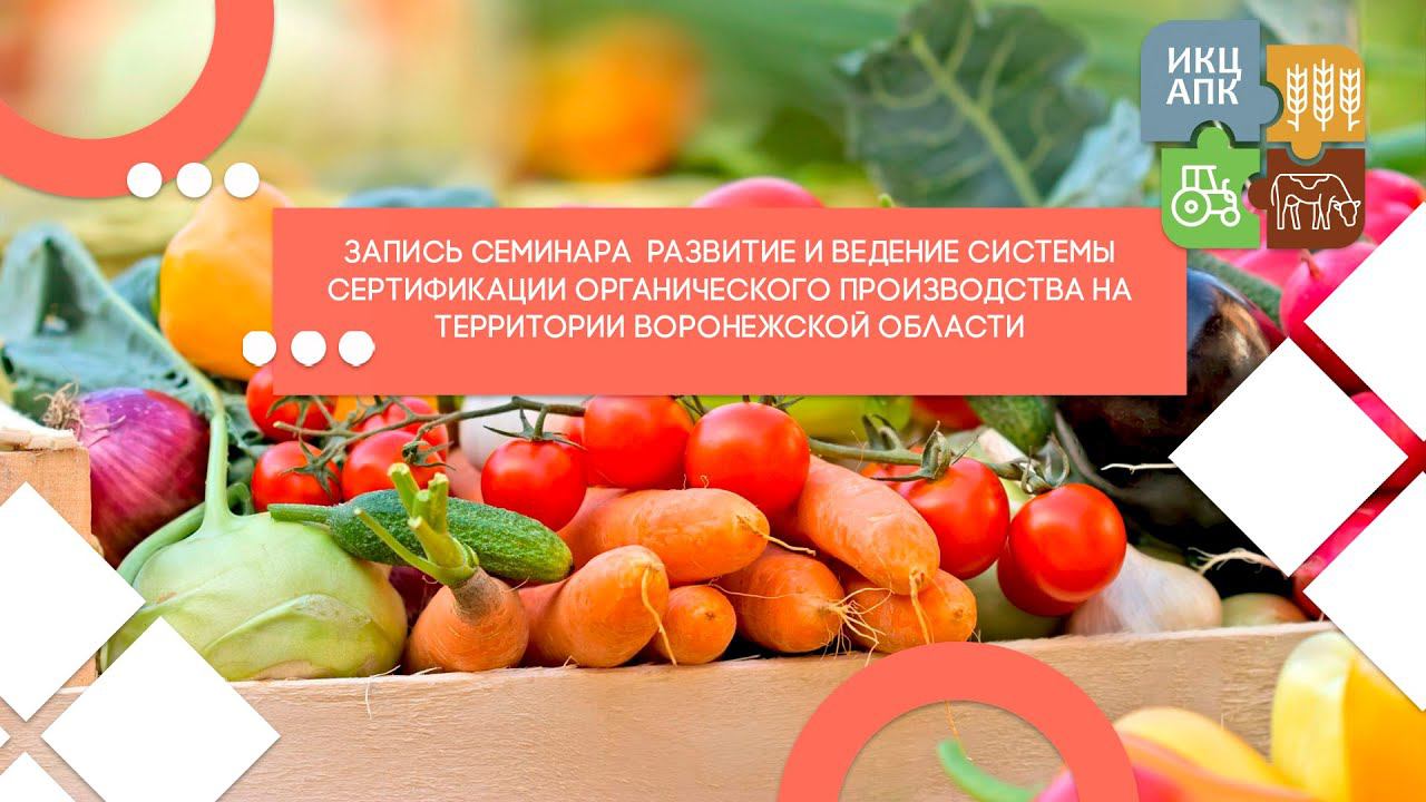 Запись семинара от 25 марта 2022 года