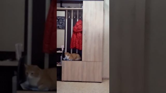 Они едут ?? Часть 3.