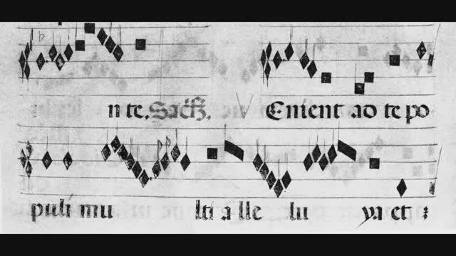 Venient ad te populi multi