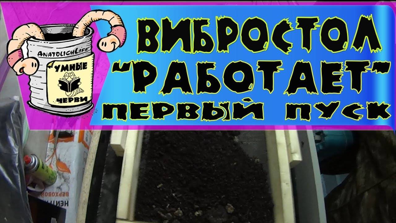Бизнес идея  Разведение червей - ДЕНДРОБЕНА! Вибростол для просеивания! (первый запуск)