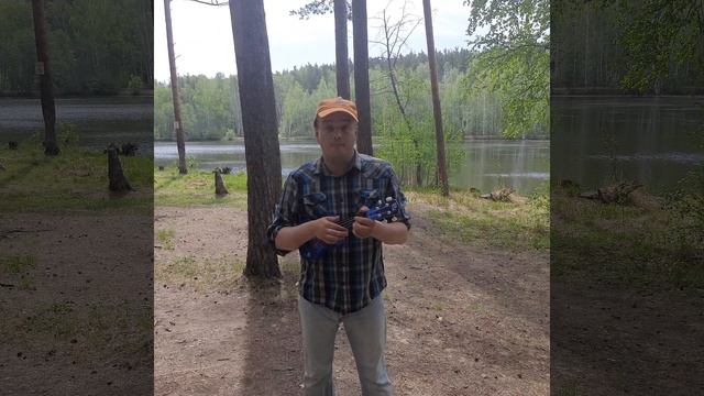 По диким степям Забайкалья (Бродяга)