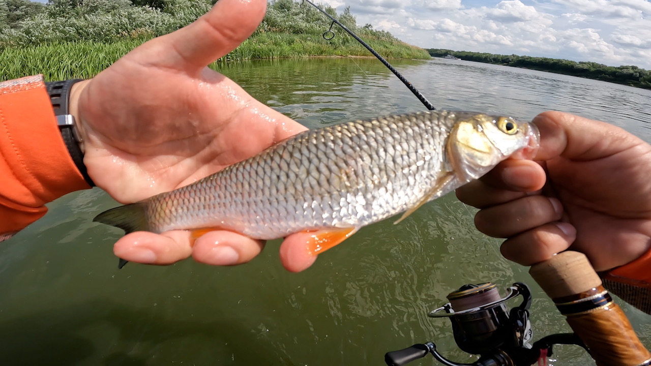 Рыбалка на Колебалки. Голавль на Оке. Ультралайт. Мормышинг.
