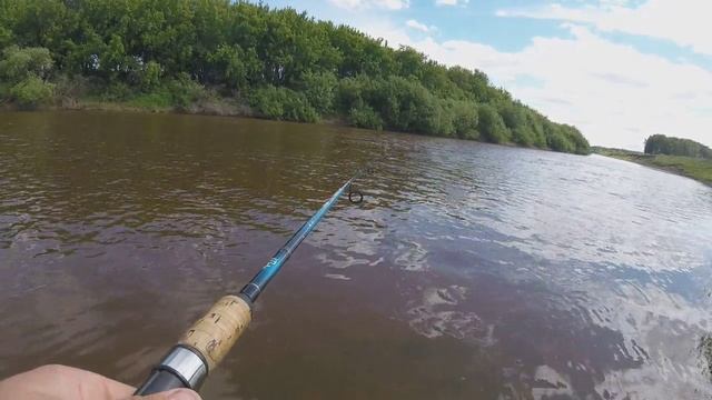 Рыбалка на хищника на спиннинг в начале лета.