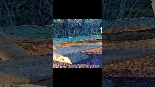 Выборг  парк Монрепо