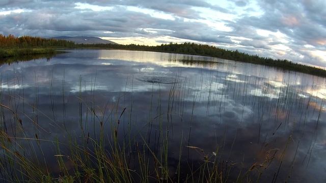 РЫБАЛКА . ЧАС КЛЁВА. МУРМАНСКАЯ ОБЛАСТЬ.