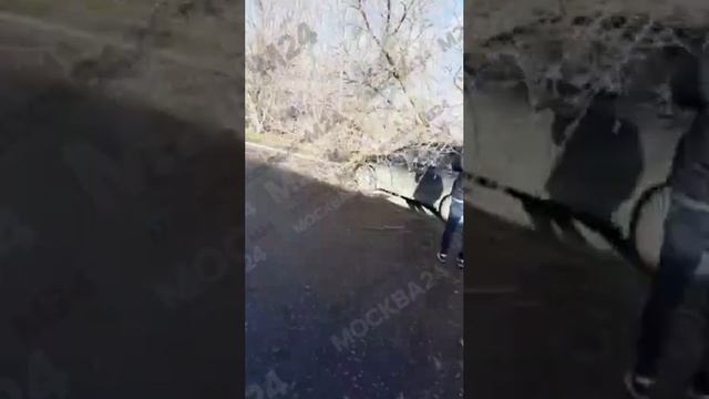 Москвичи, глядите сегодня в оба - Москва 24