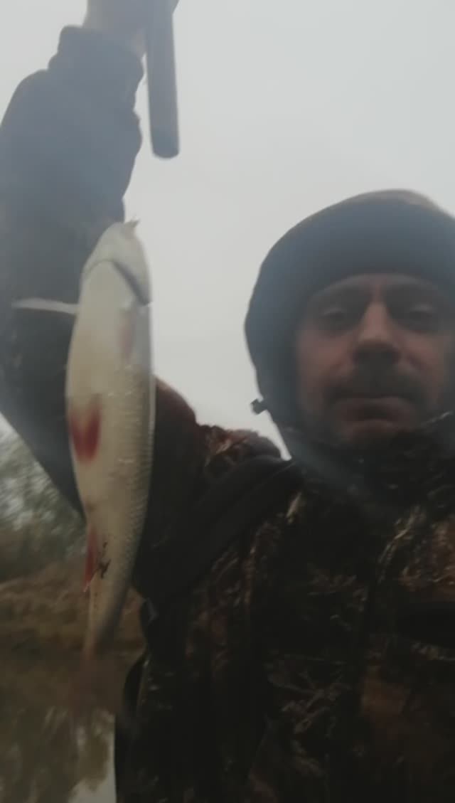 Речка ВЕРЯЖКА / ЯЗЬ