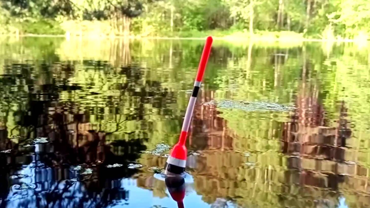 ЛЕСНОЕ ОЗЕРО КИШИТ КРУПНОЙ РЫБОЙ. Рыбалка на поплавок