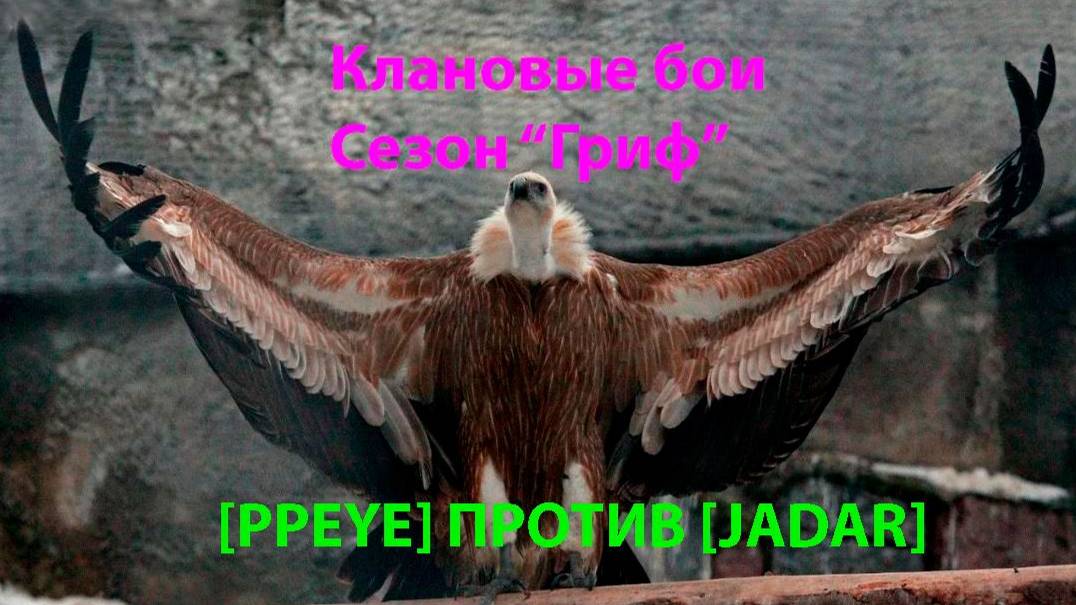 Клановые бои. [PPEYE] против [JADAR] Мир кораблей World of Warships