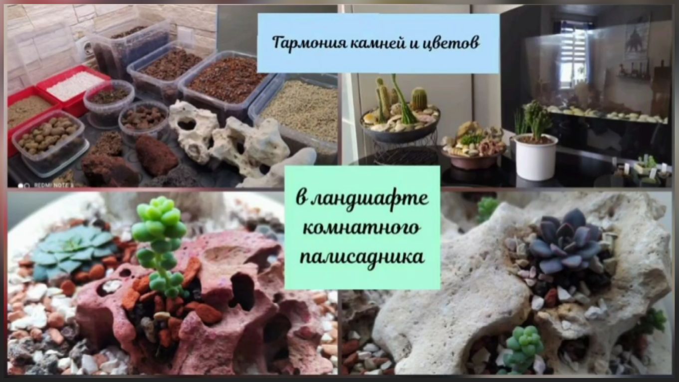 Гармония камней и цветов в ландшафте комнатного палисадника.