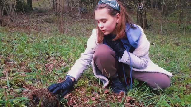 Ёжики проснулись