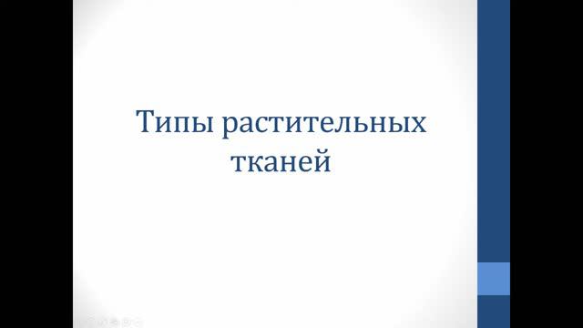 Биология. Объяснение темы "Типы растительных тканей"
