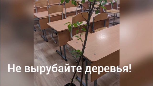 "Правила охраны природы", Андронова Полина