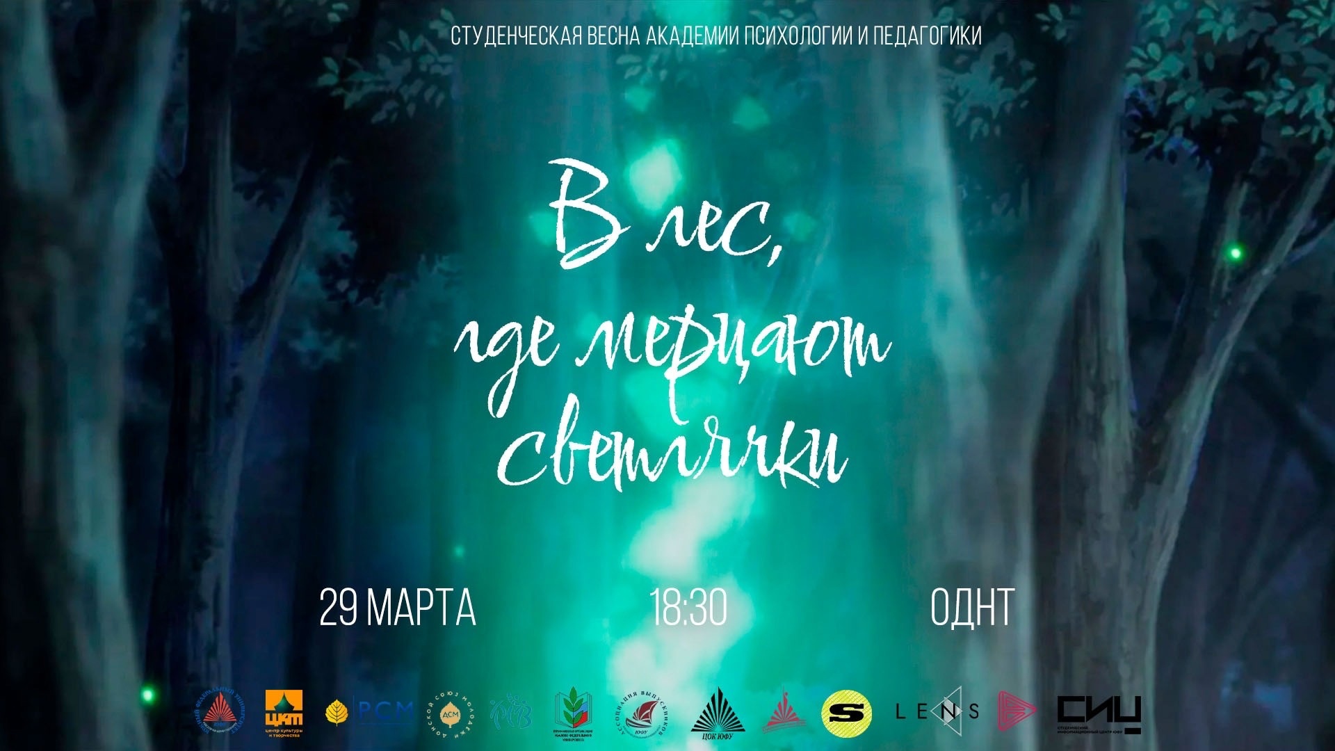 "В лес, где мерцают светлячки", АПиП