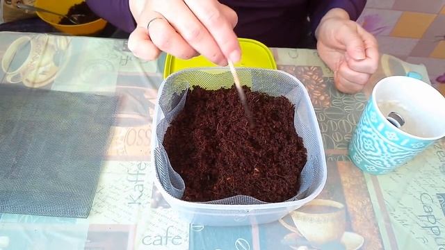 Разведение гриндальского червя.mp4