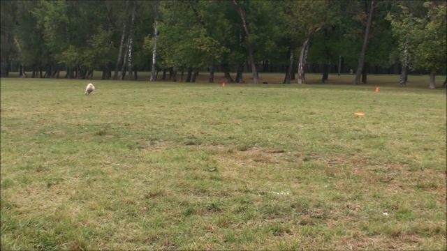 USDDN WF QUALIFIER Ольга и Джим R3.mp4